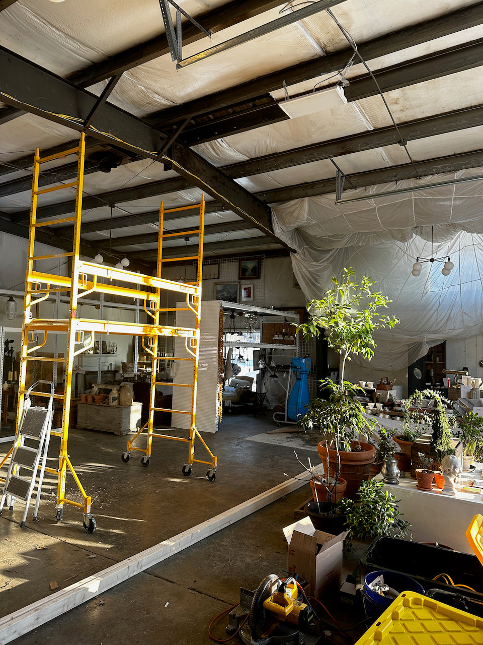 Rethinking the Quittner Store
